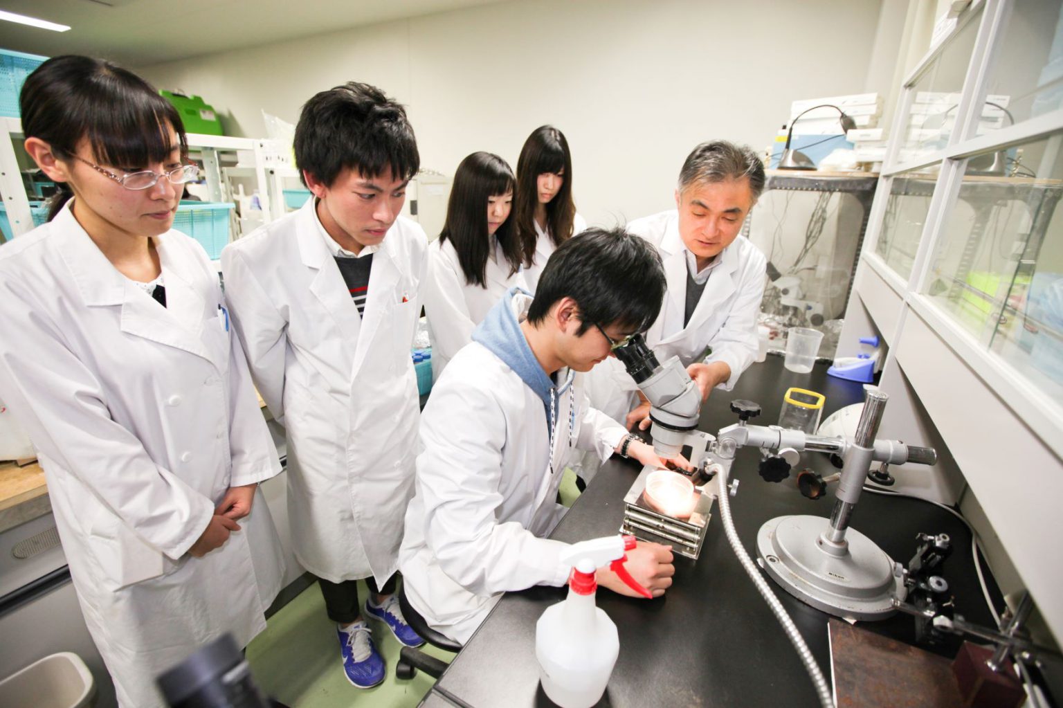 Graduate School of Pharmaceutical Sciences – TOHO UNIVERSITY