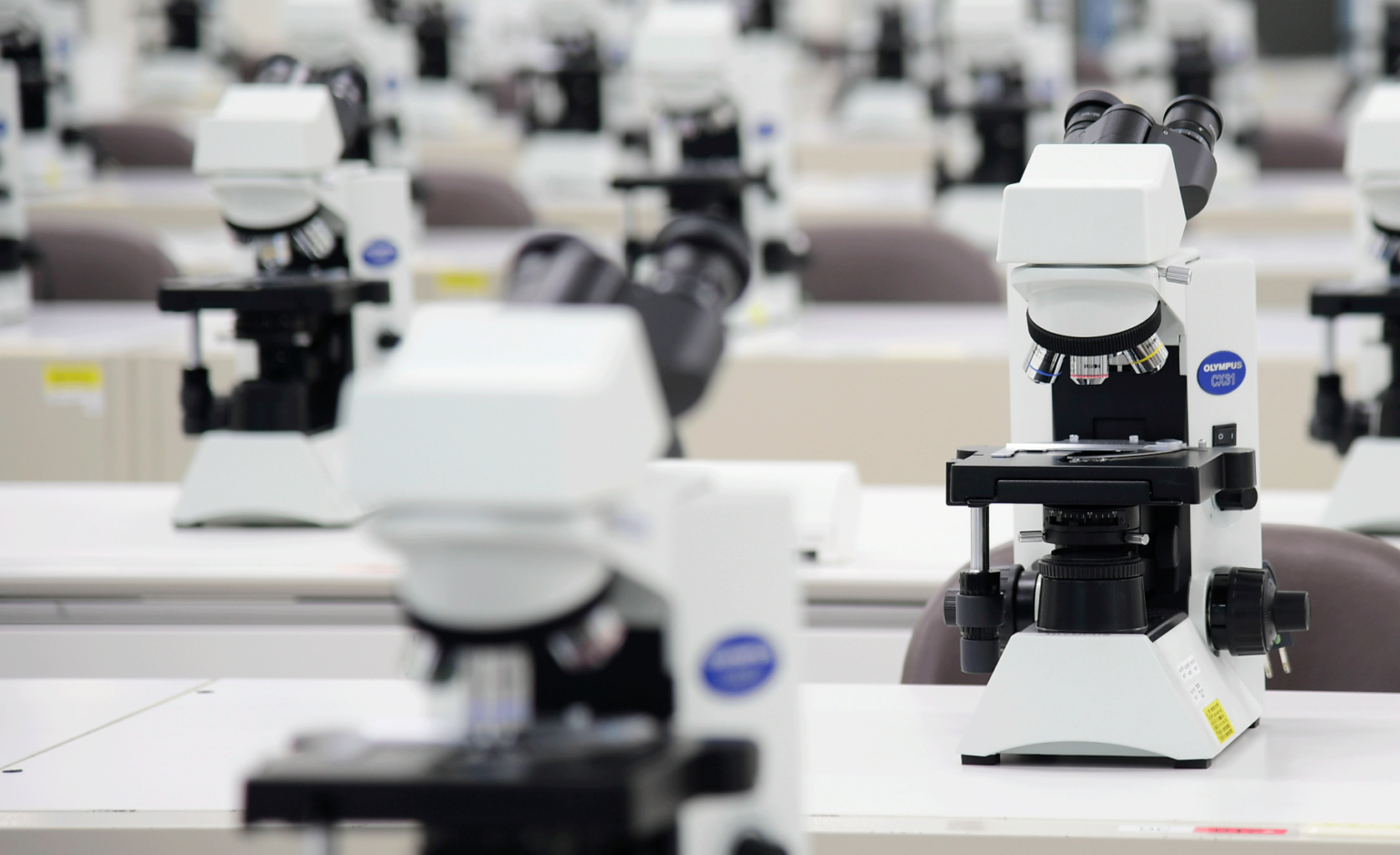 Graduate School of Medicine – TOHO UNIVERSITY