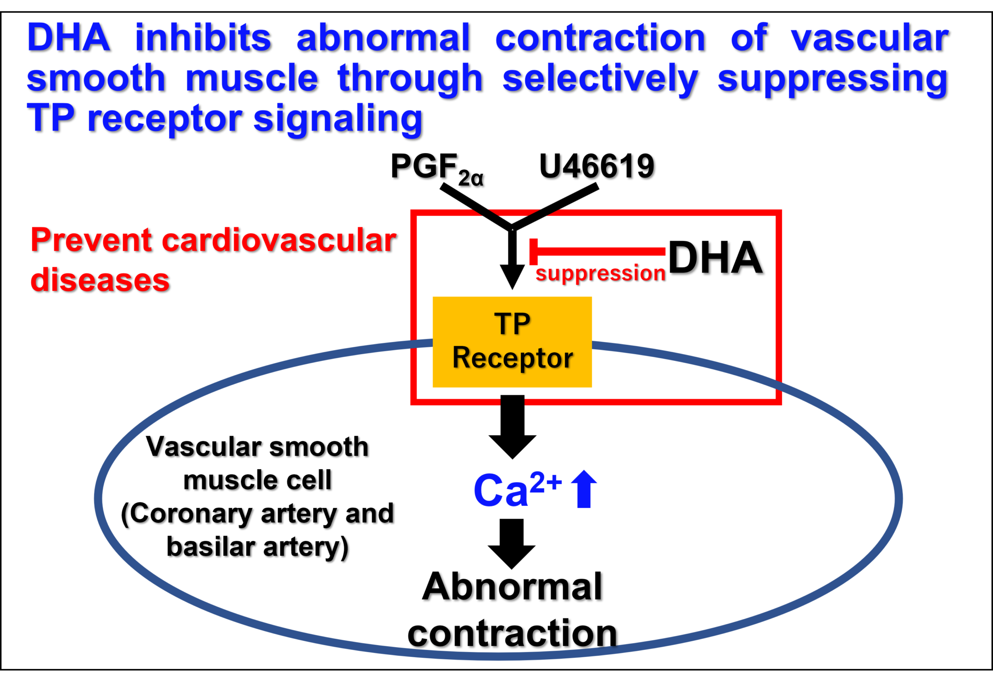 Docosahexaenoic Acid (DHA) Immediately Inhibits the Contractile ...