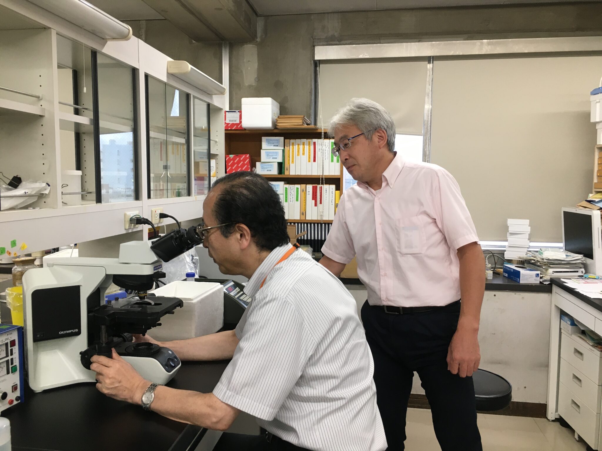 Role of the Transcriptional Regulator IκBζ in Intestinal Epithelial ...