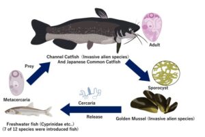 Earth’s oxygen-rich atmosphere will probably last for approximately 1 ...