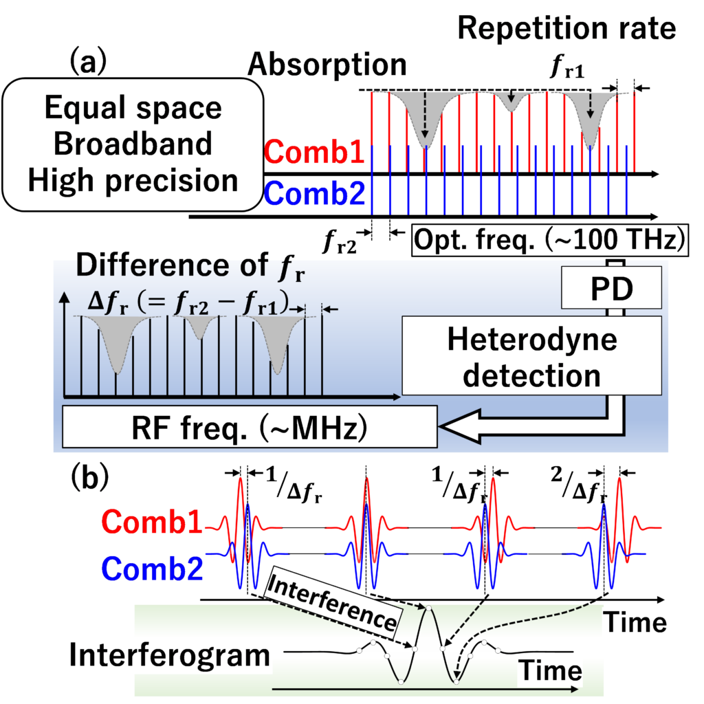 Mechanism-sharing dual-comb fiber laser in all-fiber type developed ...
