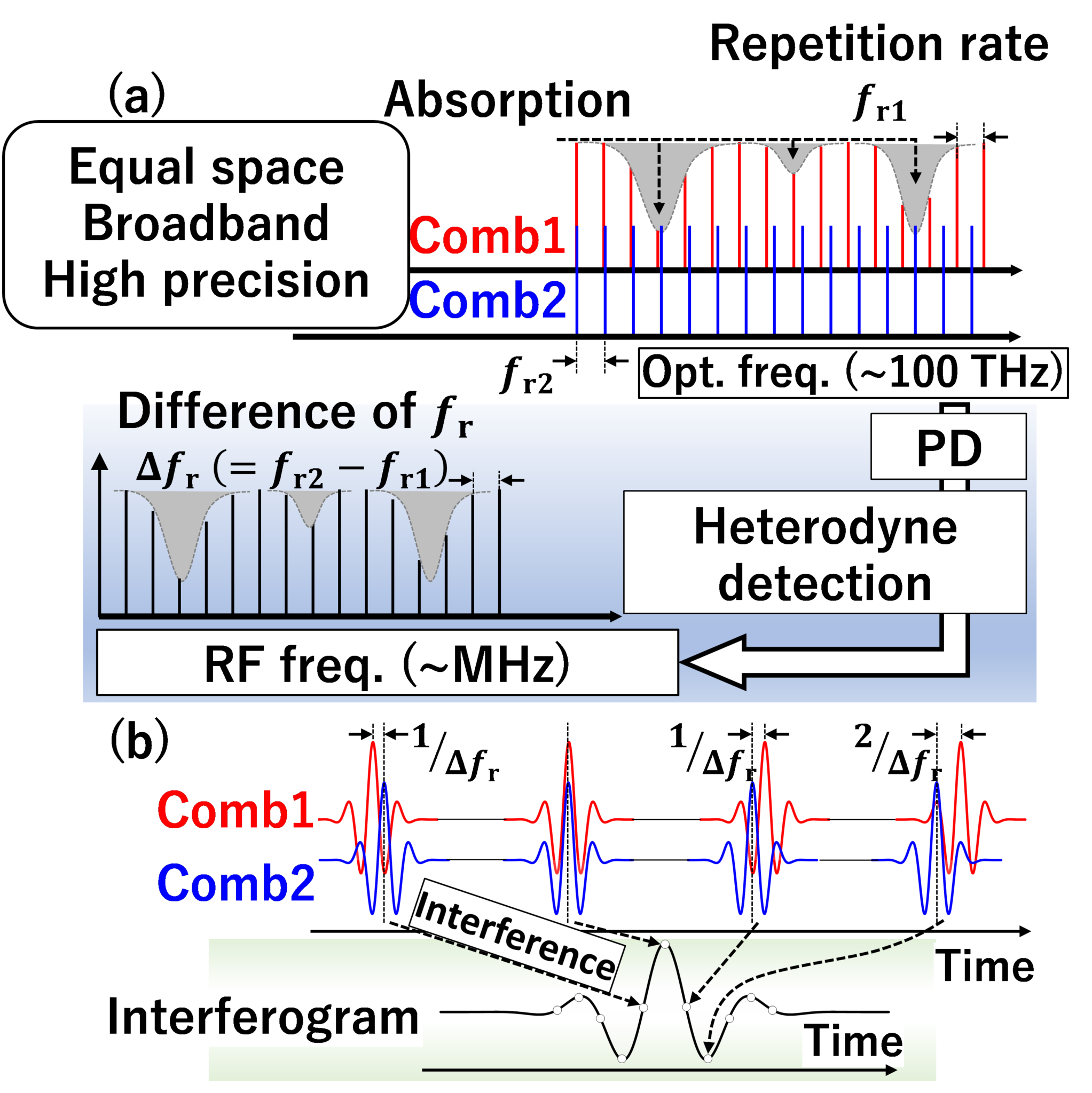 Mechanism-sharing dual-comb fiber laser in all-fiber type developed – TOHO UNIVERSITY