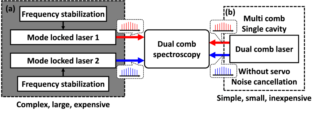 Mechanism-sharing dual-comb fiber laser in all-fiber type developed ...