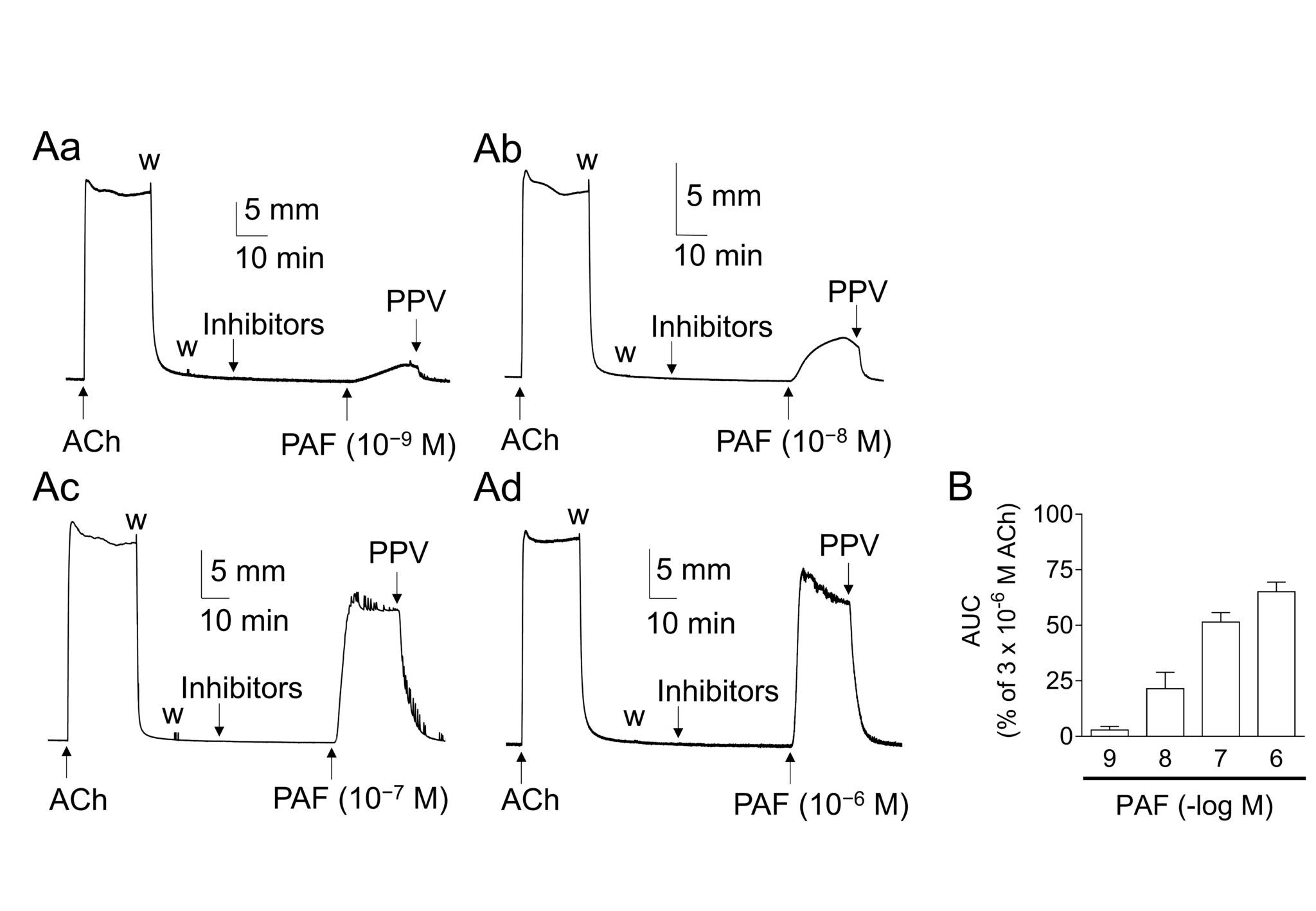 Platelet activating factor (PAF), a bioactive phospholipid, strongly ...