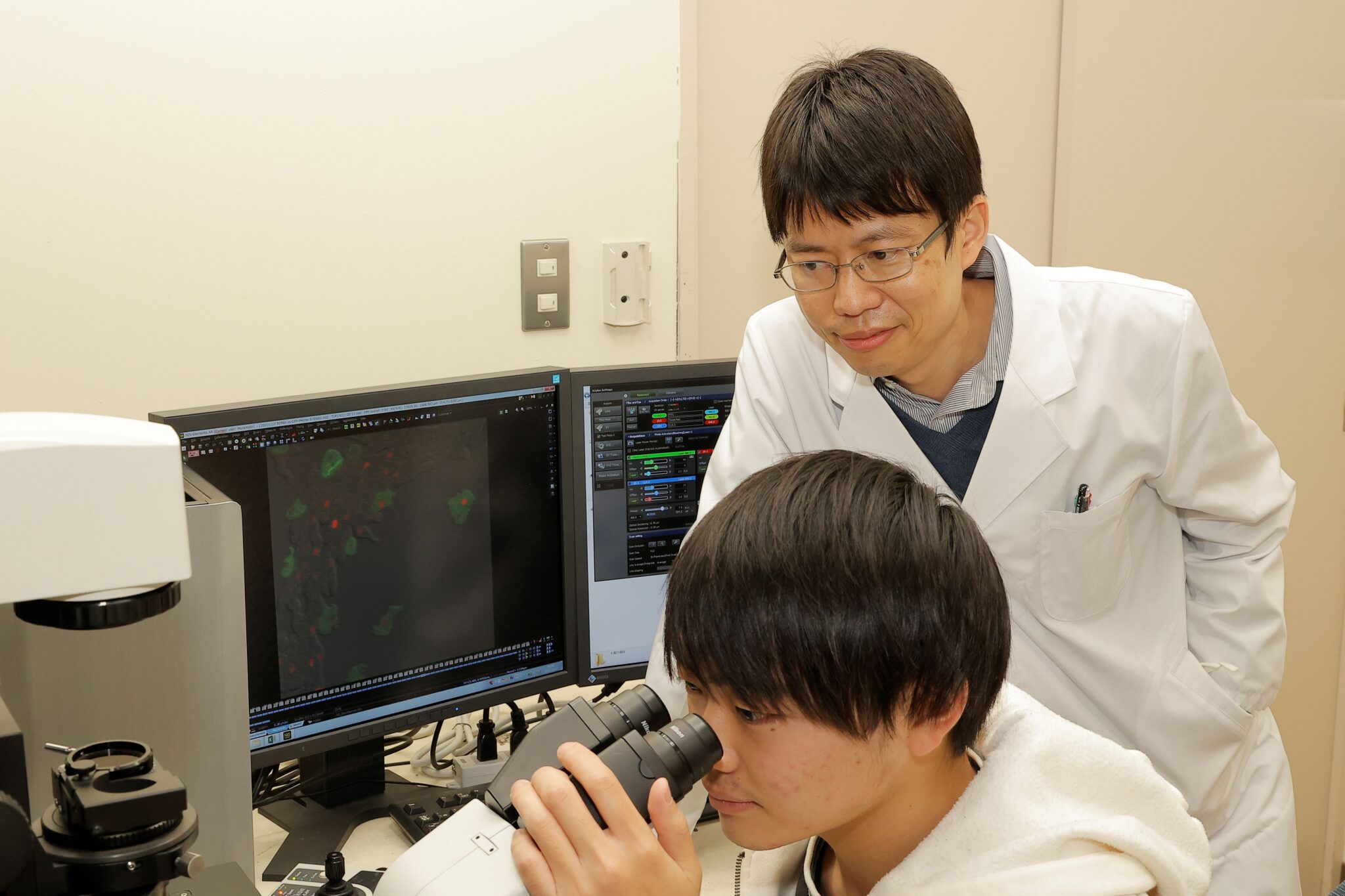 Manipulating Intracellular Signal Transduction Using Optogenetic ...