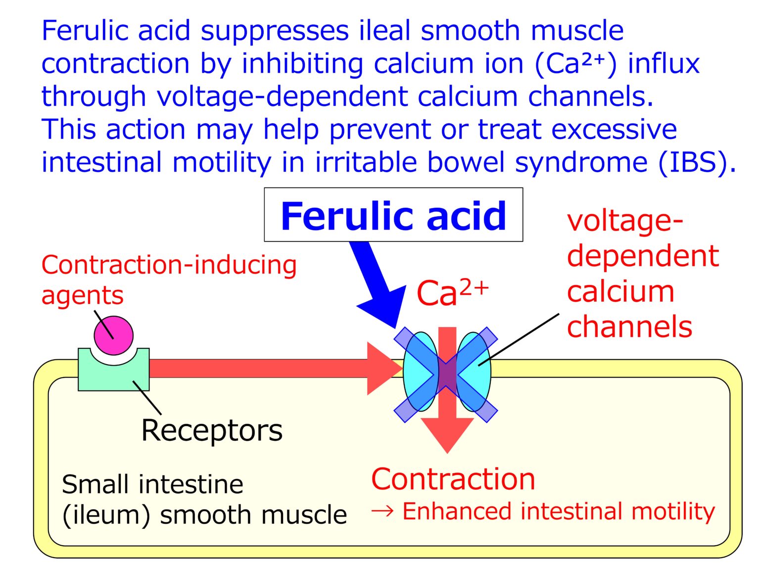 Ferulic acid, a natural compound found in rice bran, suppresses ...